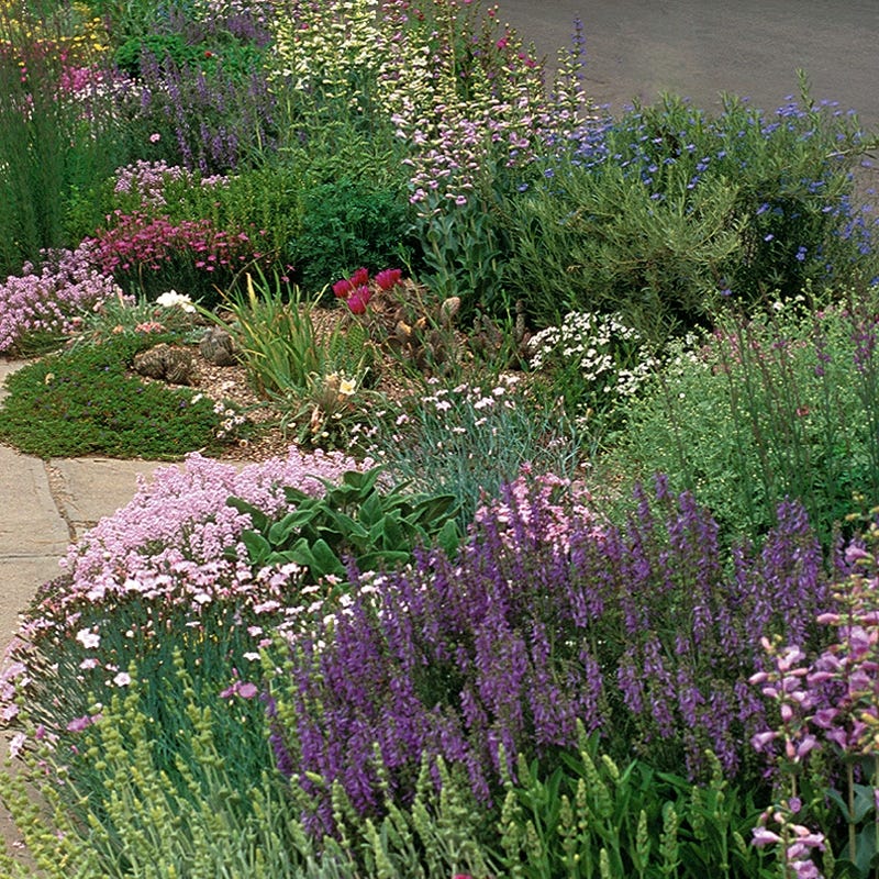 Large Soft Colors Inferno Strip Pre-Planned Garden | Wide Hell Strip