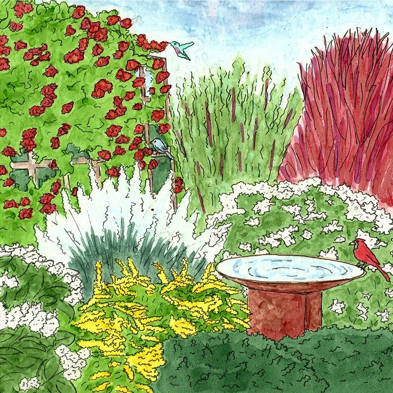 Native Mid-Atlantic Songbird Garden | High Country Gardens