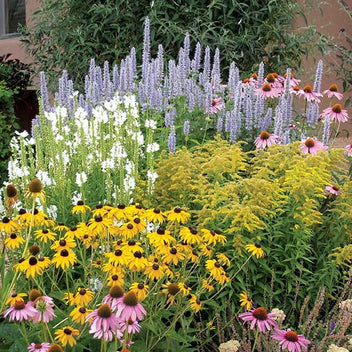 Pre-Planned Gardens | Garden Kits with Maps for Easy Planting